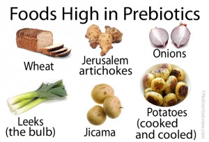 What is a prebiotic fiber? List, Food Examples, Benefits
