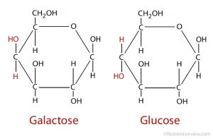 What is galactose? Definition, Foods, Metabolism